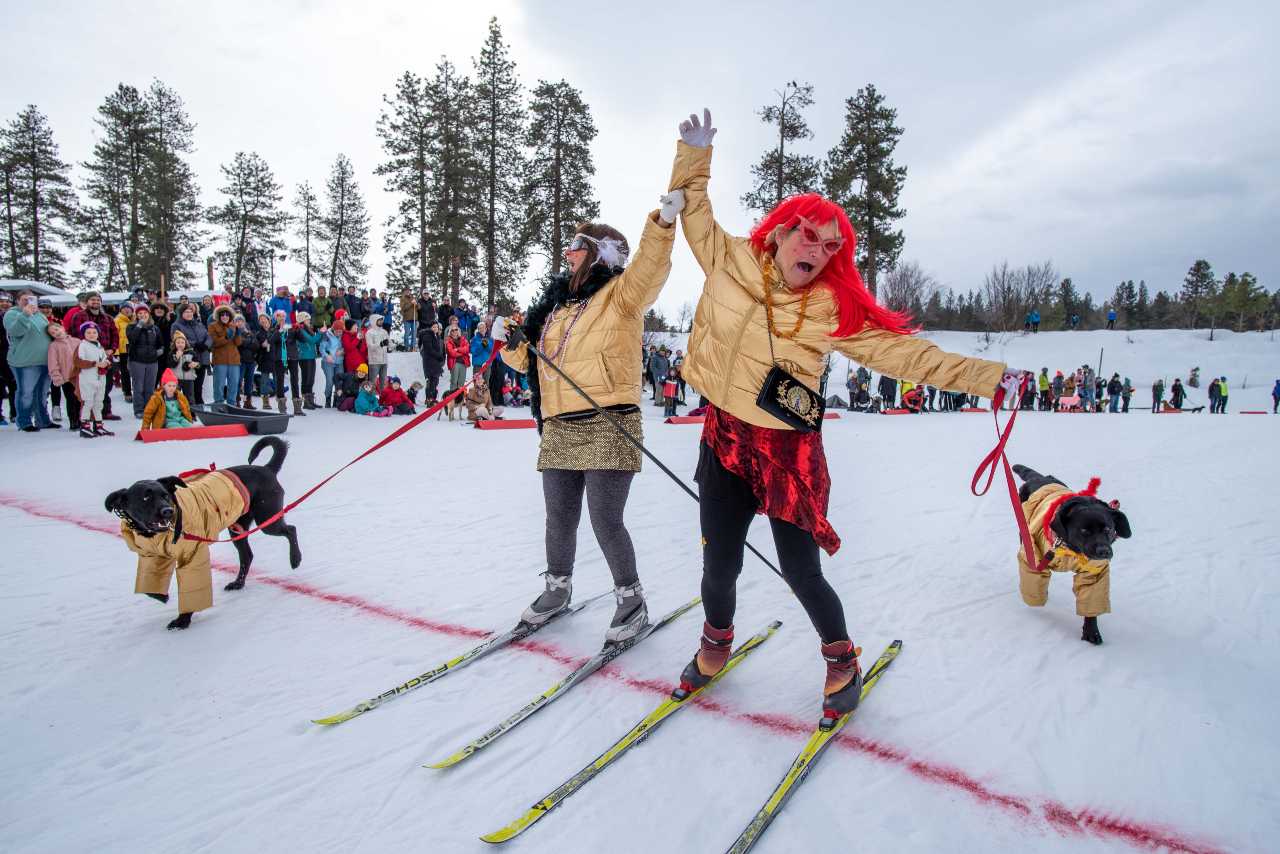 Doggie Dash · Winthrop Washington